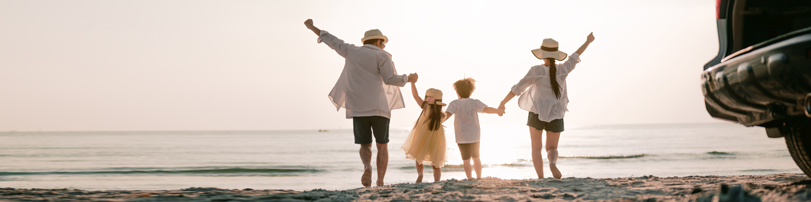 Markerstudy Distribution